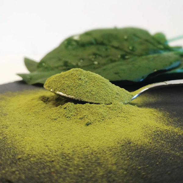 Espinafre em pó 100g – Milastas